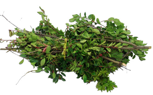 Overzicht Prijzen | Bouw Afvalzakken Cedric Kennof